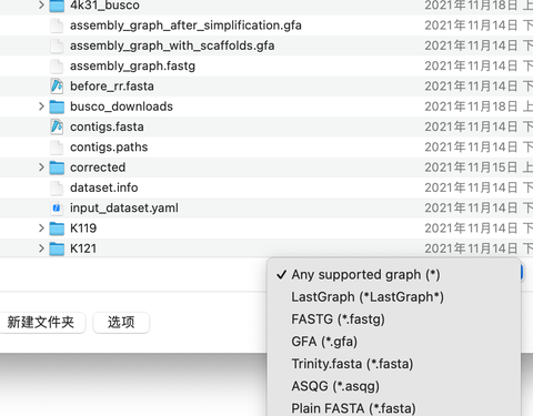 生信log21|基因组成圈了吗？-拼接路径可视化软件Bandage结果详解 - 知乎