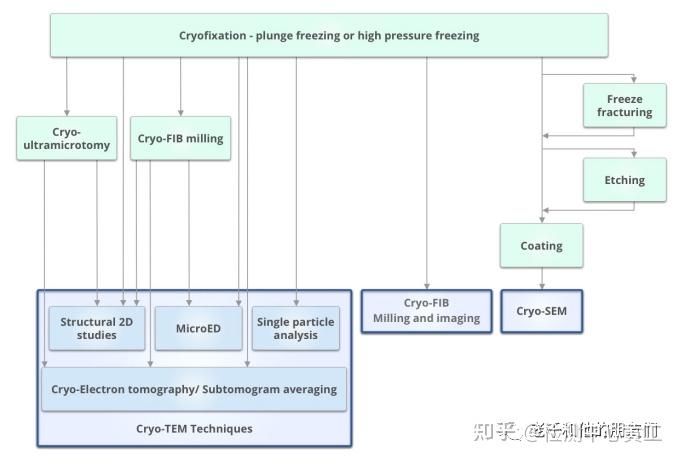 我们为什么需要冷冻电镜Cryo-EM？ - 知乎