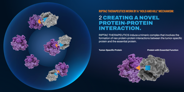 打破肿瘤耐药性僵局，PROTAC先驱发布首个RIPTAC药物临床前数据，将于今年内开展IND准备工作 - 知乎