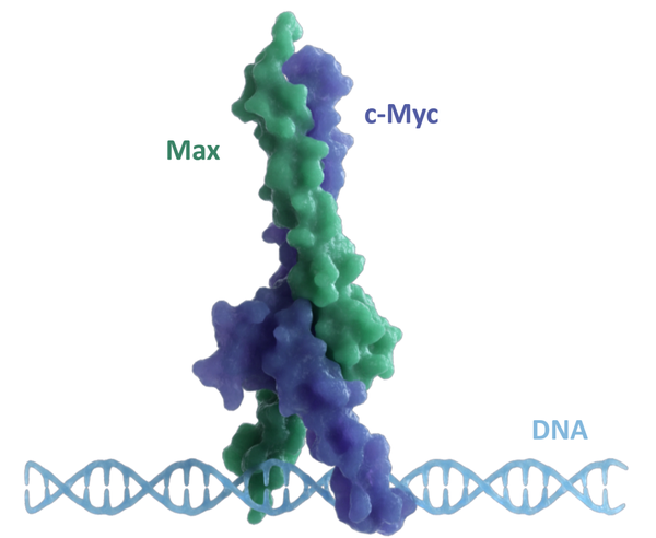 c-Myc新突破！深势科技RiDYMO™动力学平台助力FIC药物发现 - 知乎
