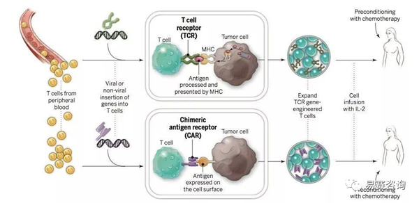 易前沿 | 全球首款TCR-T疗法Afami-cel滚动上市，滑膜肉瘤将迎来新疗法 - 知乎