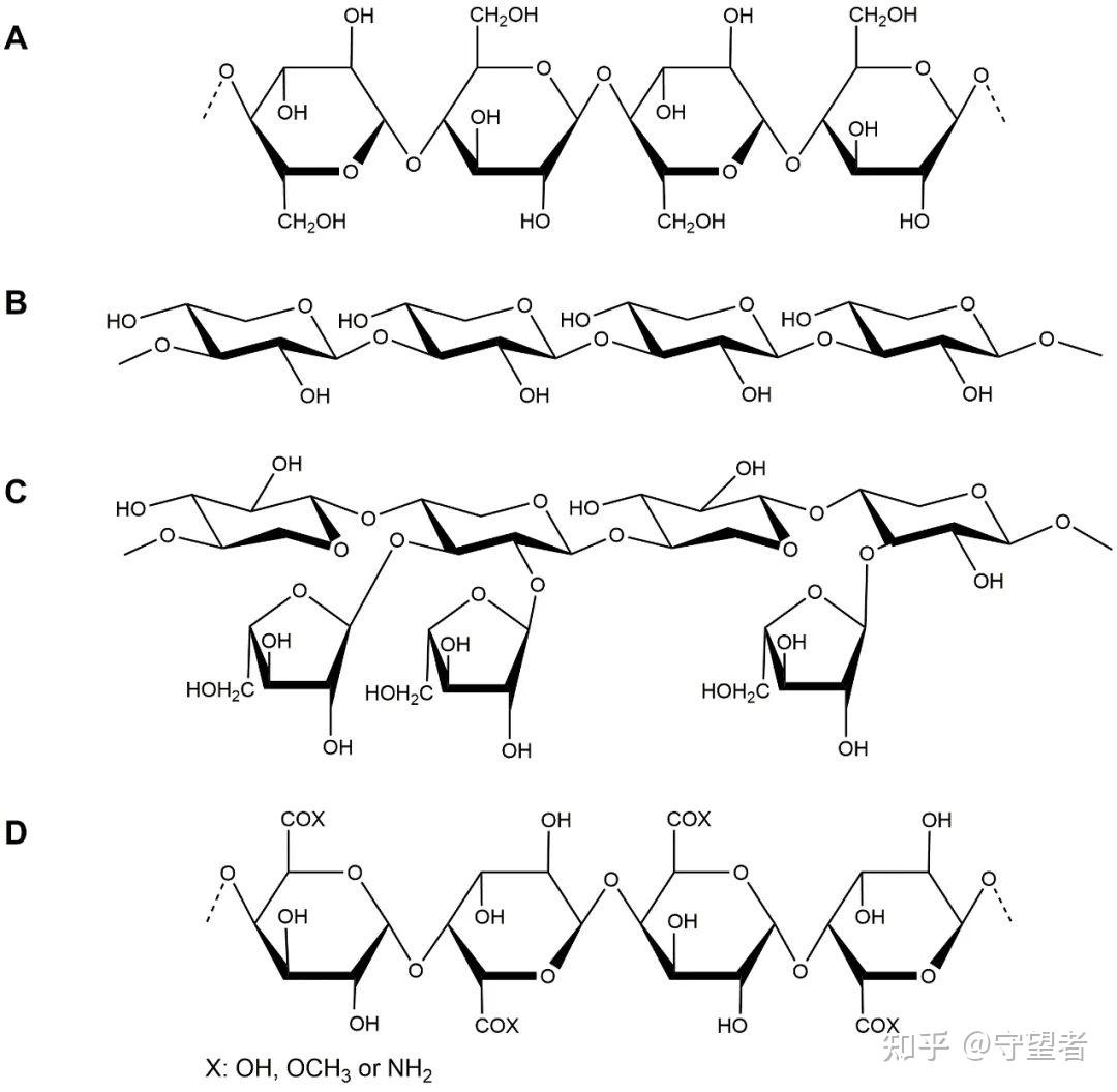 Trends in Food Science & Technology：膳食纤维与肠道微生物相互作用 - 知乎