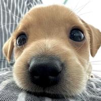 Python装饰器的几种常见的用法 - 知乎