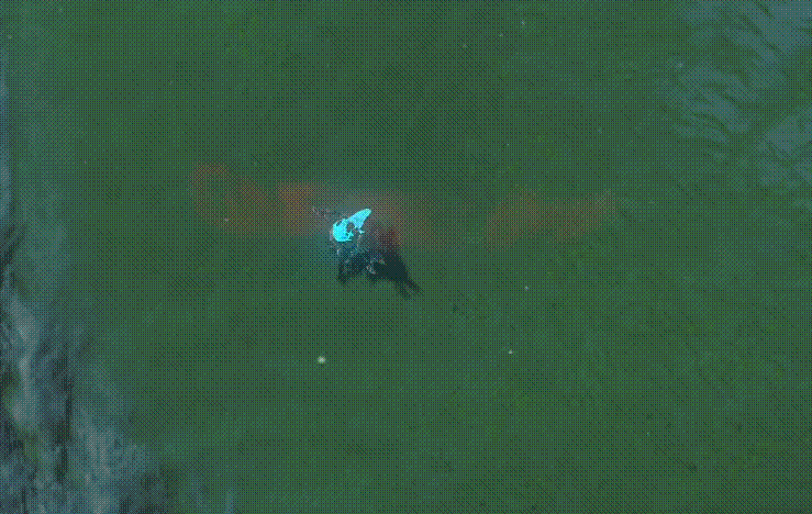 一些独特的“游戏循环” - 知乎