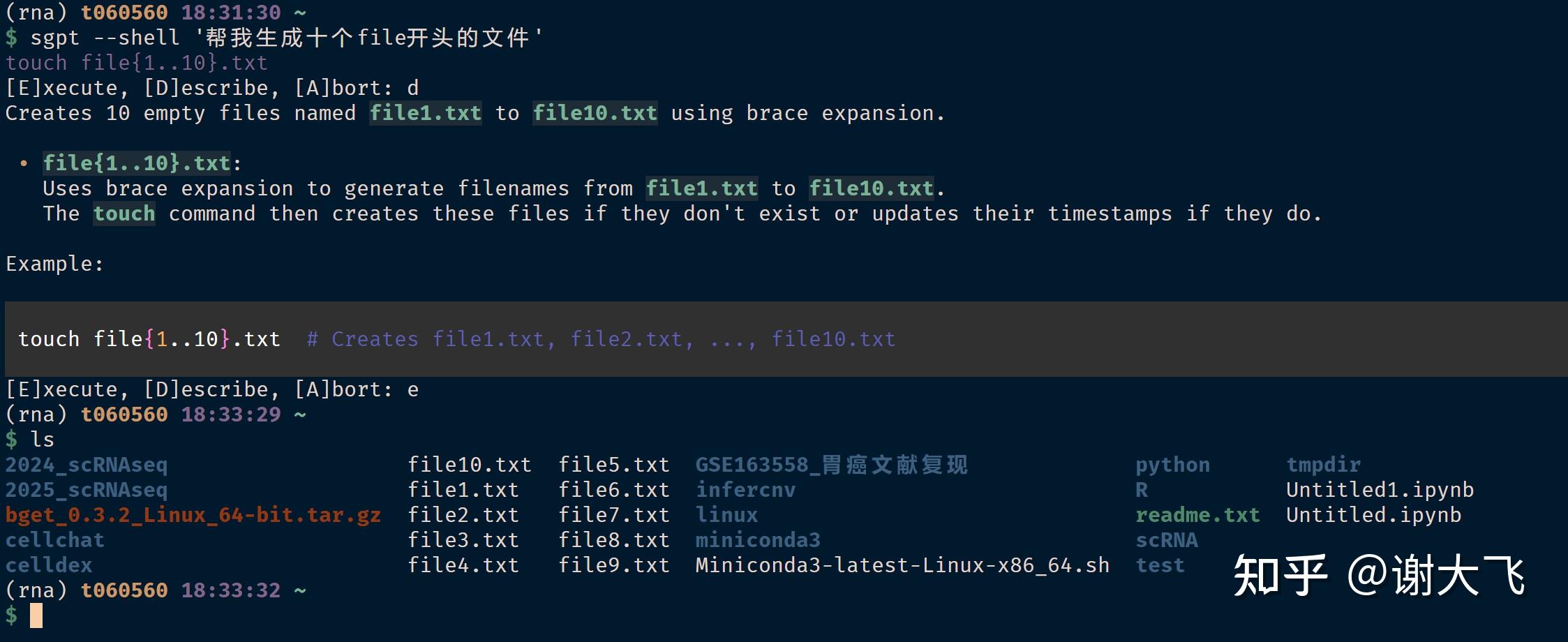 shell_gpt——把 GPT 装进终端！ - 知乎