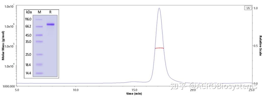 【运铁能手】TF&TFR，ADC药物热门靶点 - 知乎