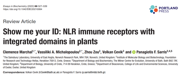 Essays Biochem | 植物中含有整合结构域ID的NLR（NLR-ID）作用模式综述 - 知乎