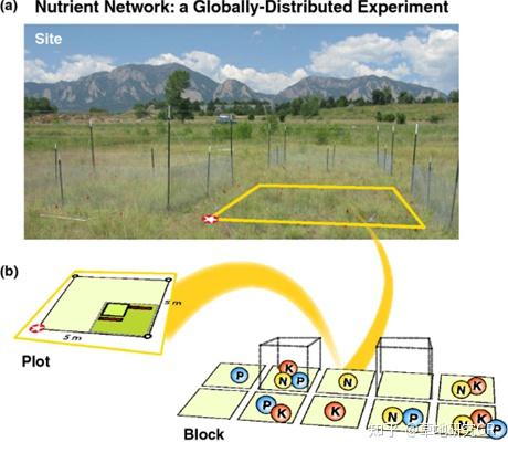 GR平台介绍 | Nutrient Network - 知乎