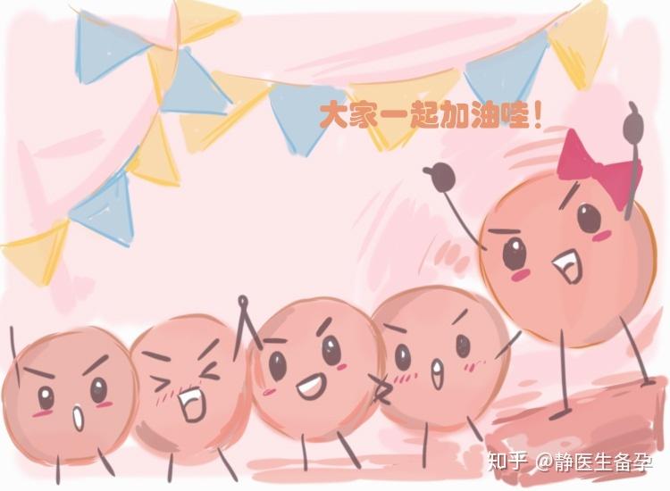 只需一招,就能帮你把卵泡养的又大又好! 知乎