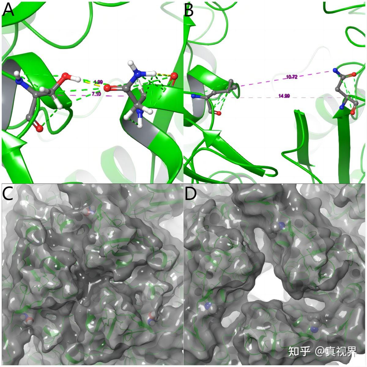 了解新型冠状病毒变异株JN.1 - 知乎