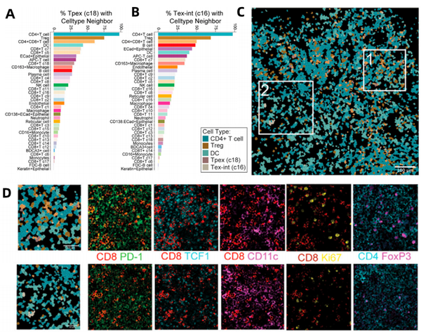 从细胞表型到空间互作：Cell文章教你轻松搞定肿瘤免疫微环境 - 知乎