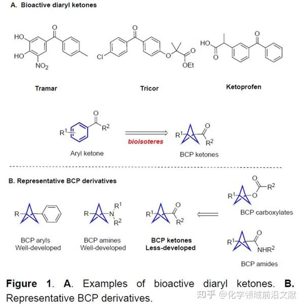 宾夕法尼亚大学Gary A. Molander课题组：镍/光氧化还原催化一步合成非对称1,3-二取代双环戊烷酮 - 知乎