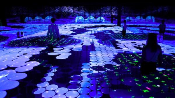 teamLab 的作品很美，却也很让人心碎 - 知乎