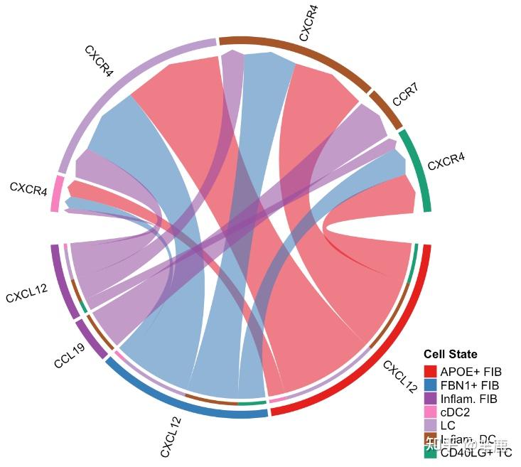 CellChat细胞通讯分析（中）--实操代码（单个样本） - 知乎