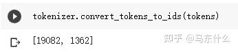huggingface transformer的tokenizer中的各种token转化方法的区别 - 知乎