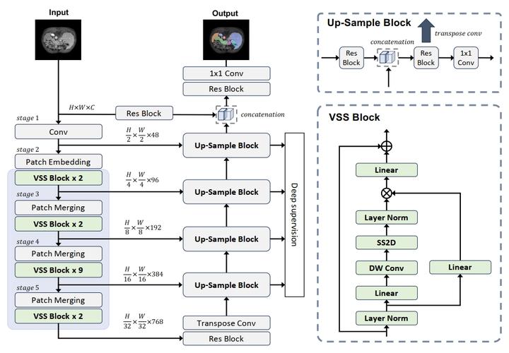 Swin-UMamba：基于Mamba和ImageNet预训练的医学图像分割模型 - 知乎