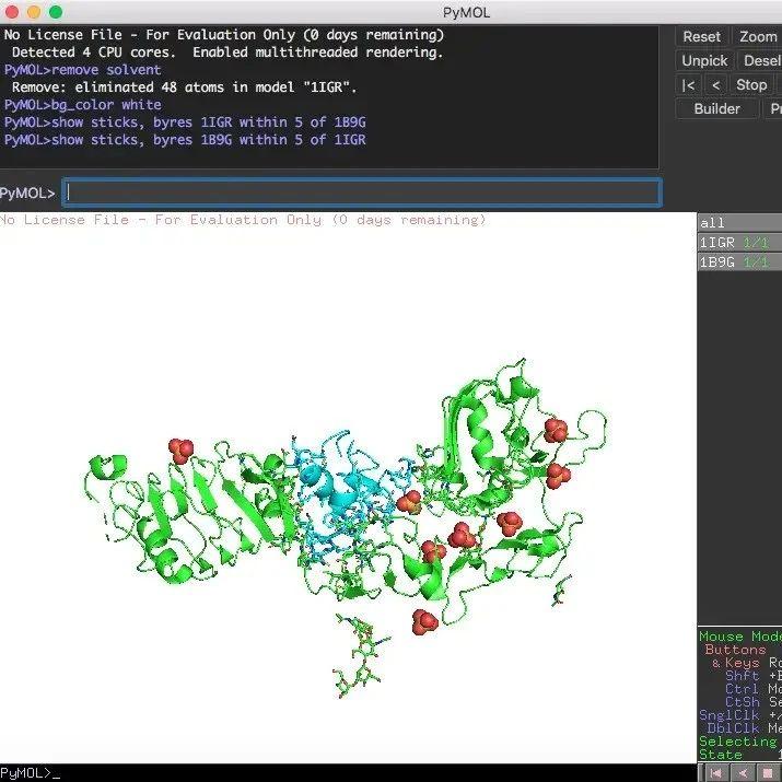 使用 PyMOL 可视化蛋白质-蛋白质对接 - 知乎