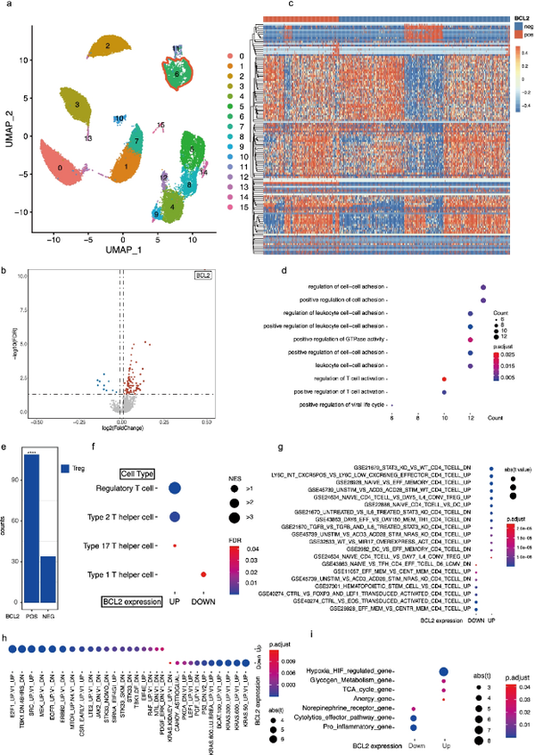 CLL患者T细胞BCL-2的作用机制研究 - 知乎