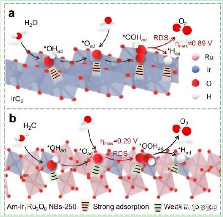 苏大JMCA：一维无定形多孔Ir-Ru氧化物高效酸性OER - 知乎