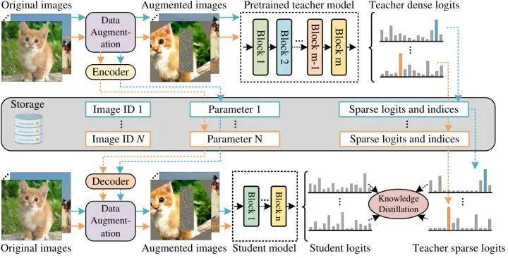 TinyViT随手记 - 知乎