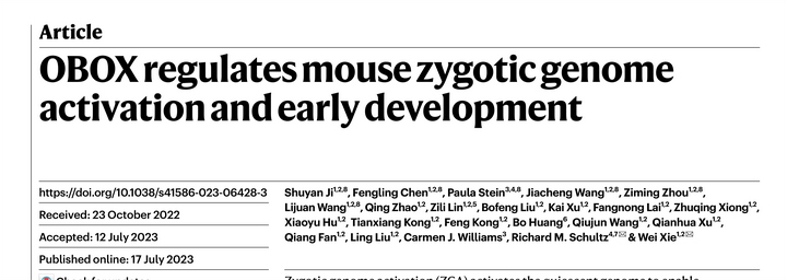 Nature | 生命如何唤醒沉默基因？清华大学揭示OBOX家族在小鼠受精后基因组激活和早期胚胎发育中的关键作用 - 知乎
