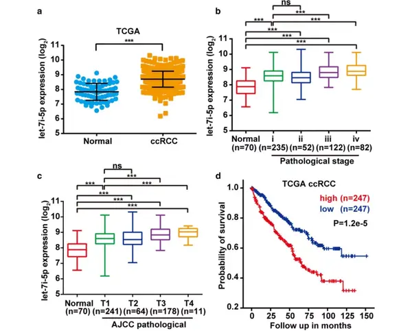 如何用生信+实验分析miRNA发SCI？这种思路值得学习 - 知乎