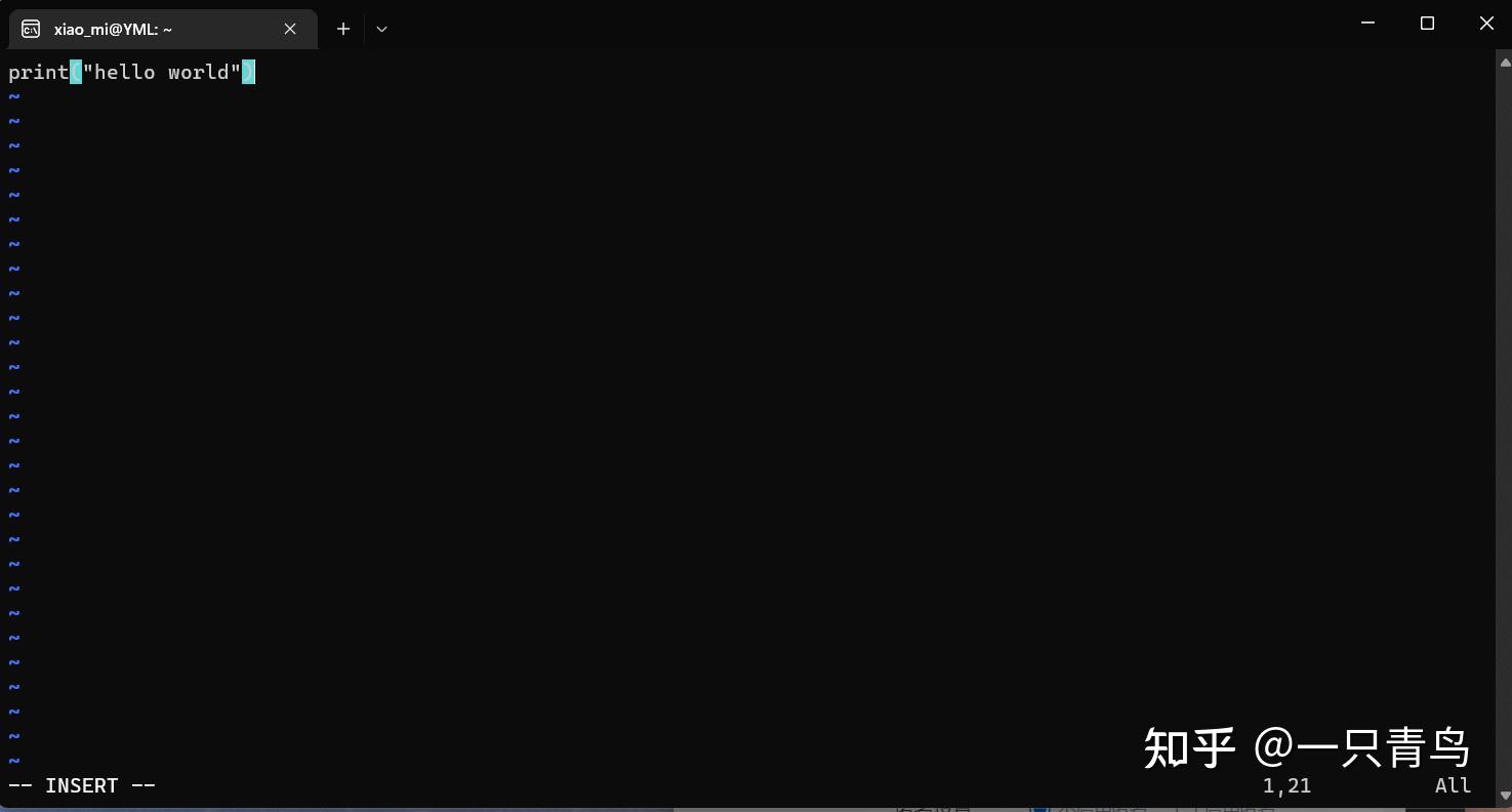 如何在 linux 系统下运行 python 语言代码？ - 知乎