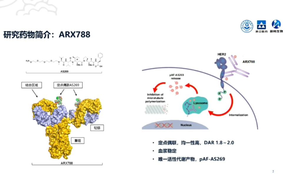 美国FDA授予Ambrx的ARX788治疗胃癌的孤儿药资格 - 知乎