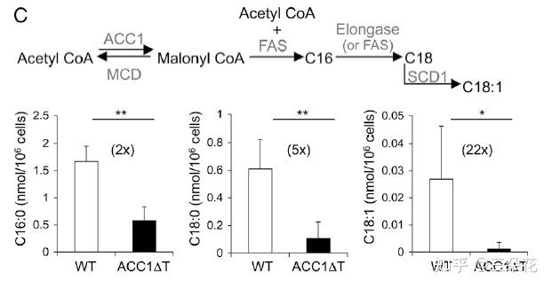 ACC1和ACC2的区别 - 知乎