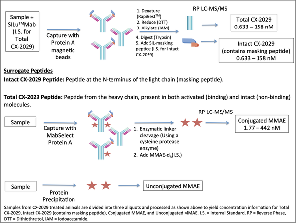 生物分析 | 抗体前药(Probody)药代动力学生物分析策略 - 知乎