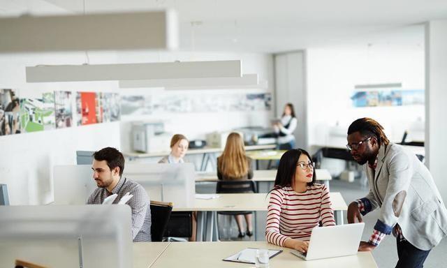 企业组织结构的调查 - 知乎