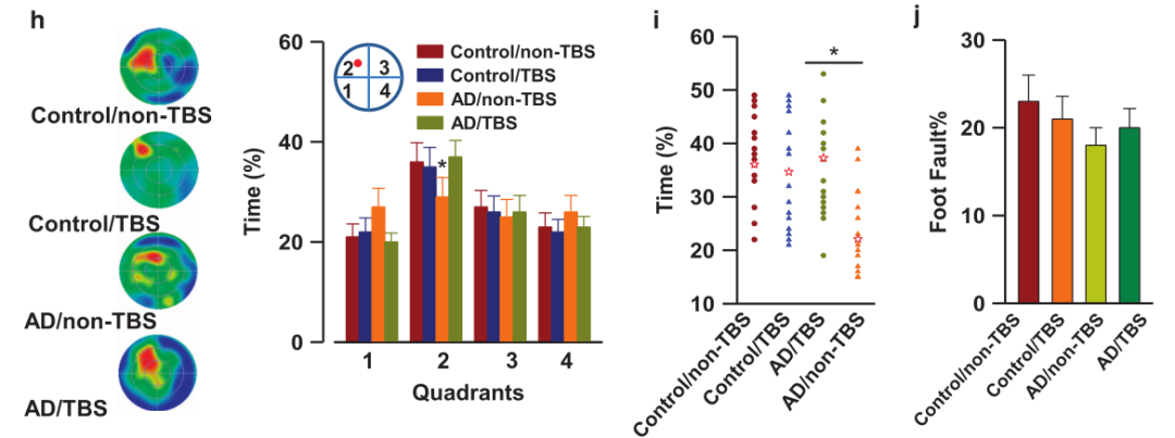 【文献解读】内嗅皮层到CA1的突触功能损伤导致AD小鼠认知障碍新机制 - 知乎