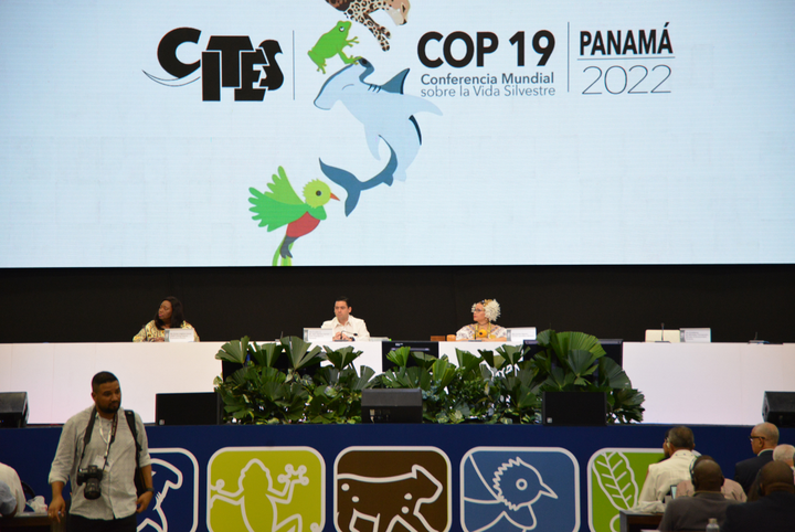 CITES秘书长伊沃妮·伊格萝对 CoP19成果的反思 - 知乎