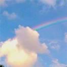 NVBoard接入verilated - 知乎