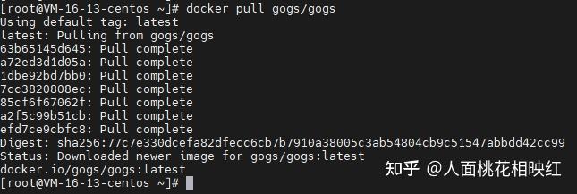 Docker安装gogs - 知乎