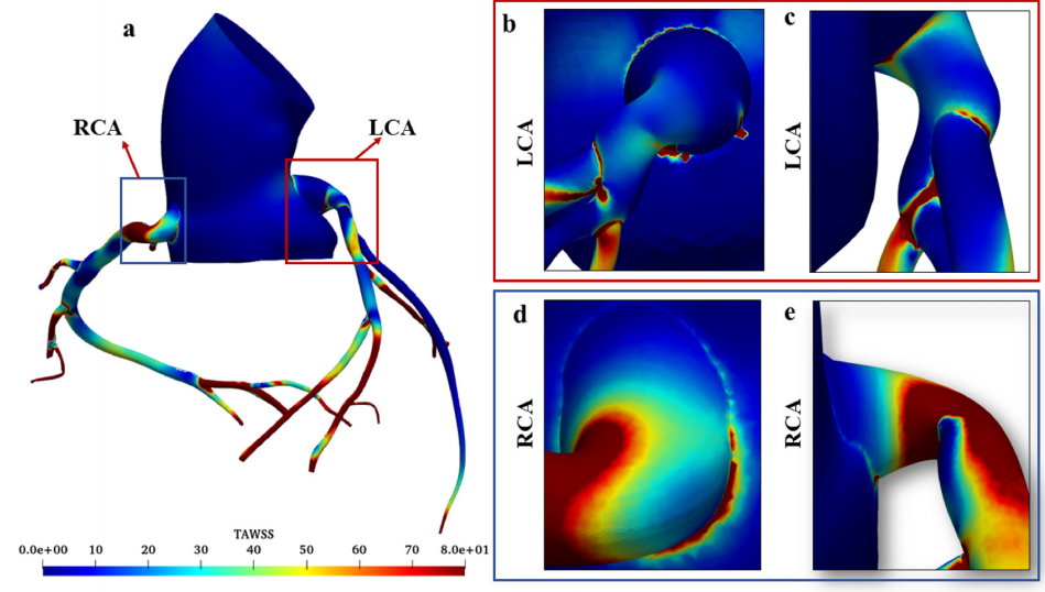 SimVascular参数计算 - 知乎