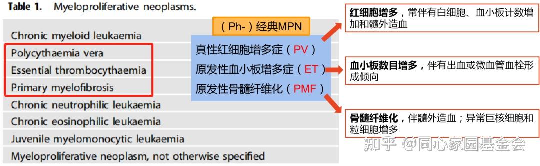 经典型MPN：PV/ET/PMF （1） - 知乎