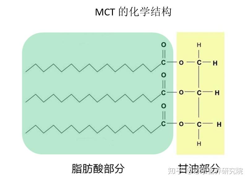 MCT-中链脂肪酸甘油三酯 之一（初识篇） - 知乎
