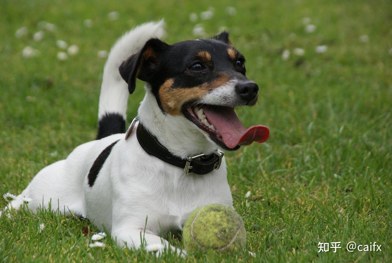 阿特金森循环 (Atkinson Cycle) 和米勒循环 (Miller Cycle) 有什么区别？ - 知乎