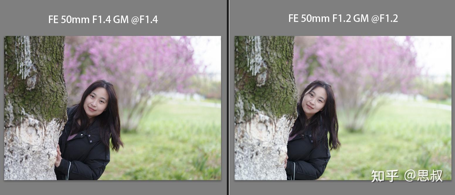 FE 50mm F1.4 GM 主观上手评测 | 实拍对比FE 50mm F1.2 GM - 知乎