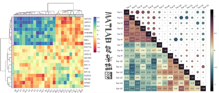 MATLAB | 给热图整点花哨操作(三角，树状图，分组图) - 知乎