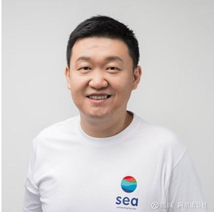 大家好，我想问下Sea limited这家东南亚互联网公司前景如何? - 知乎