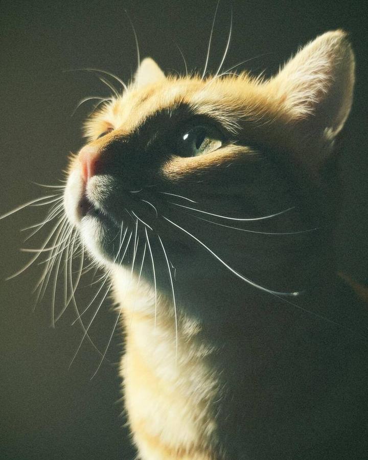 [补题]AtCoder Beginner Contest 280 G - Do Use Hexagon Grid 2 - 知乎