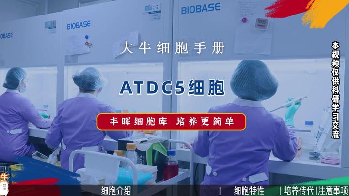 ATDC5细胞培养，小鼠胚胎瘤细胞培养攻略 - 丰晖生物 - 知乎