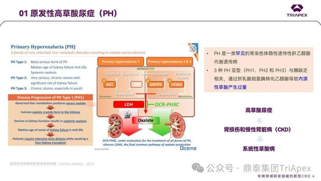 他山之石-6丨GalNAc-siRNA 药物 Nedosiran 上市历程及临床开发路径总结 - 知乎