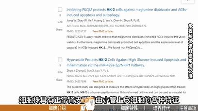 HK-2细胞培养，人肾皮质/近曲小管细胞培养攻略 - 知乎