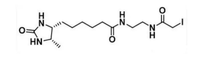 Desthiobiotin-Iodoacetamide，脱硫生物素-碘乙酰胺，可以作为一种标记试剂，识别目标分子 - 知乎