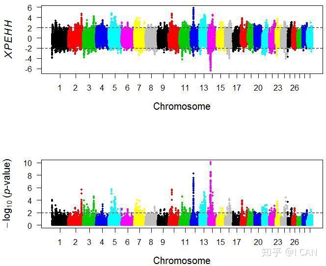 生信小白成长记——如何使用rehh包计算群体间XP-EHH - 知乎
