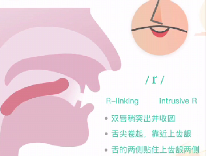 口语打卡7-8(辅元连读、R-linking&intrusive R) - 知乎
