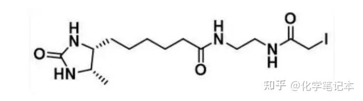 Desthiobiotin-Iodoacetamide，脱硫生物素-碘乙酰胺，可以作为一种标记试剂，识别目标分子 - 知乎